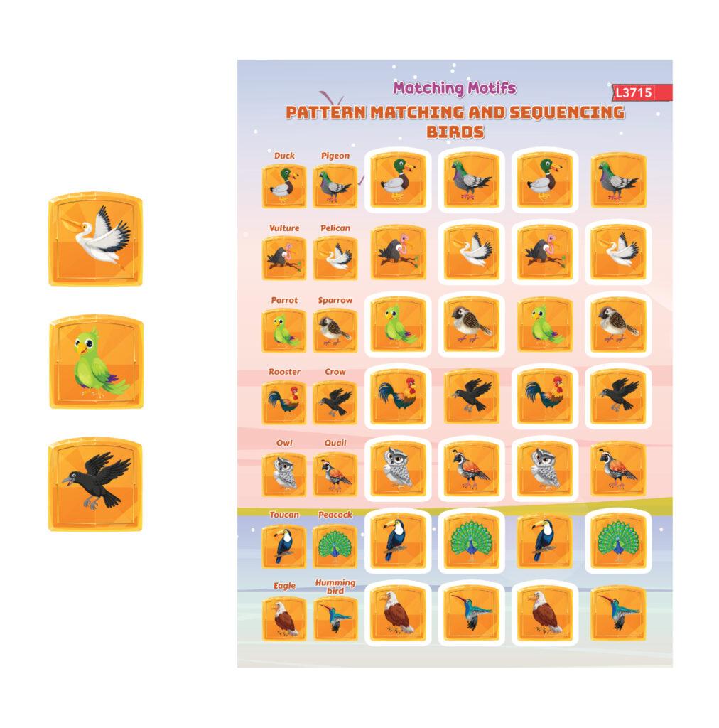 Pattern matching and sequencing - birds - ActiLearn