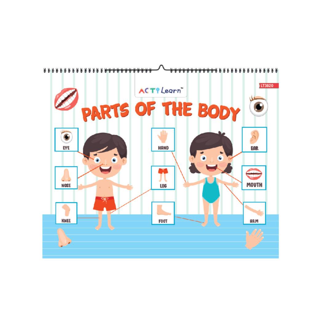 Body parts Level 1 - ActiLearn